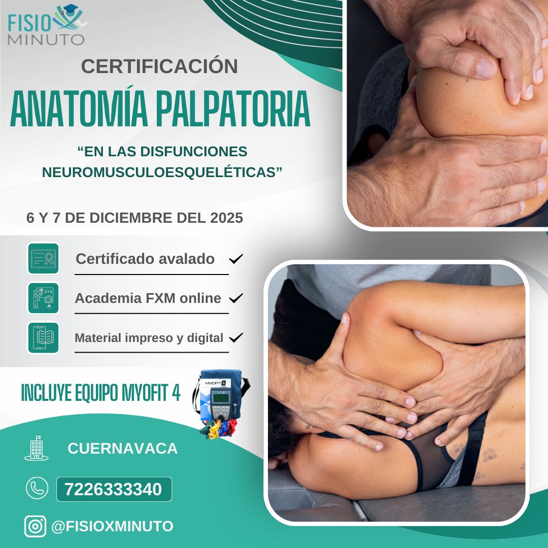 Anatomía Palpatoria: Cuernavaca | Fisioxminuto